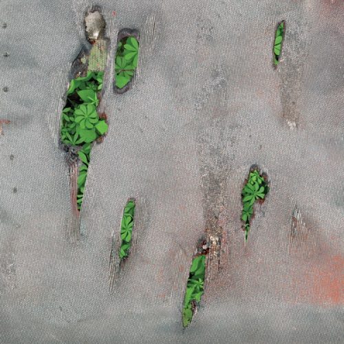 Agor is the stirring and ethereal debut album from Koreless – PLAYY ...